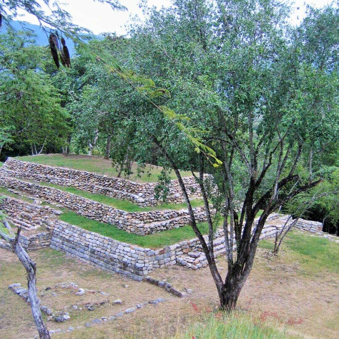 ZONA ARQUEOLÓGICA DE TANCAMA – Aventúrate